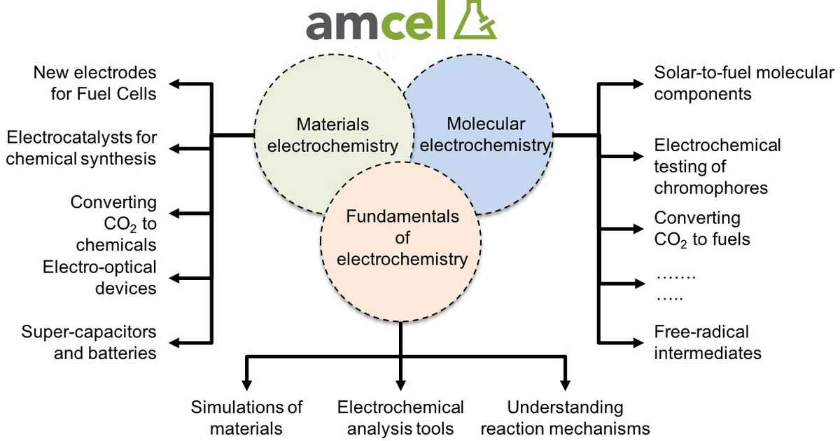 About Amcel - Amcel
